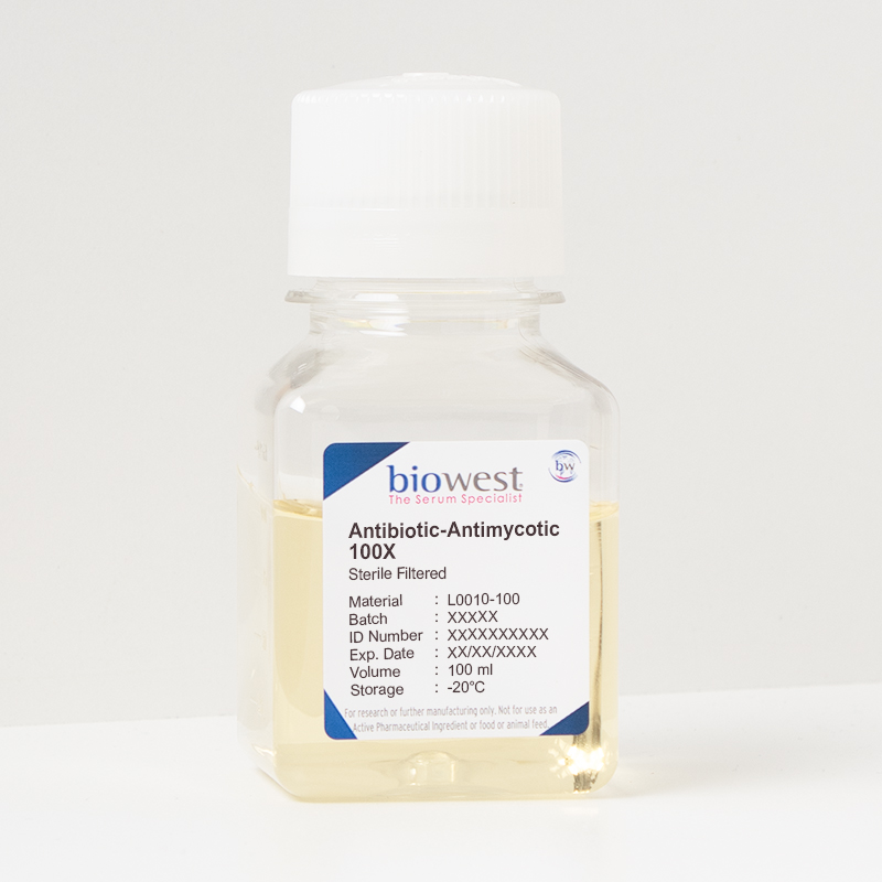 Antibiotic-Antimycotic, 100X - IM Beit HaEmek